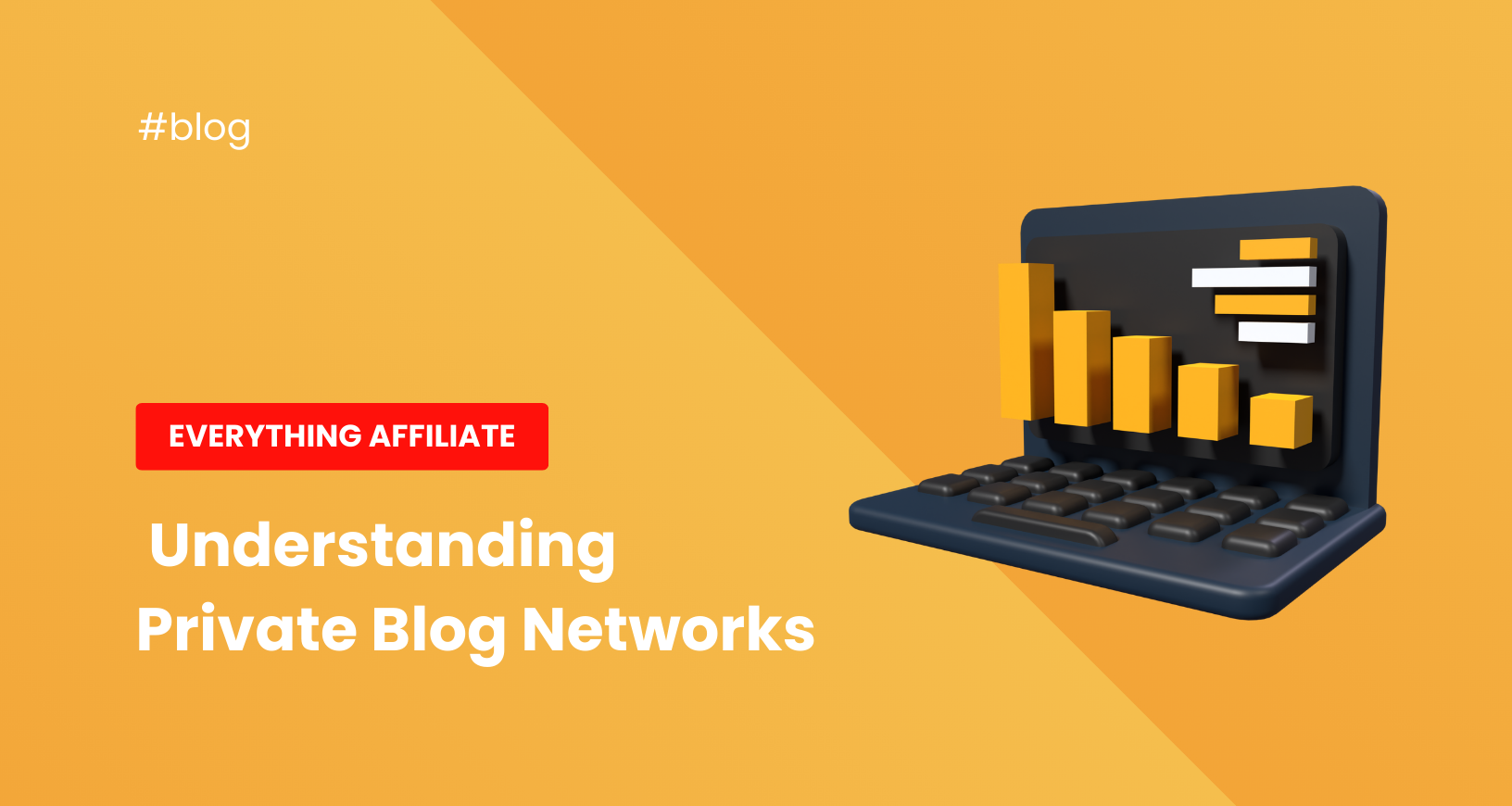 Understanding Private Blog Networks